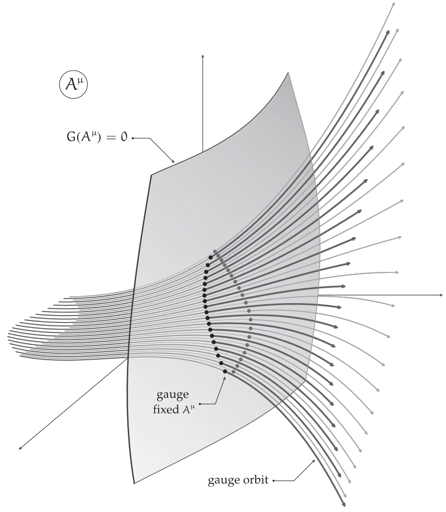 Fadeev-Popov方法 | Bufan Zheng