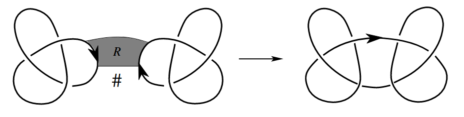 纽结理论与格同调 | Bufan Zheng